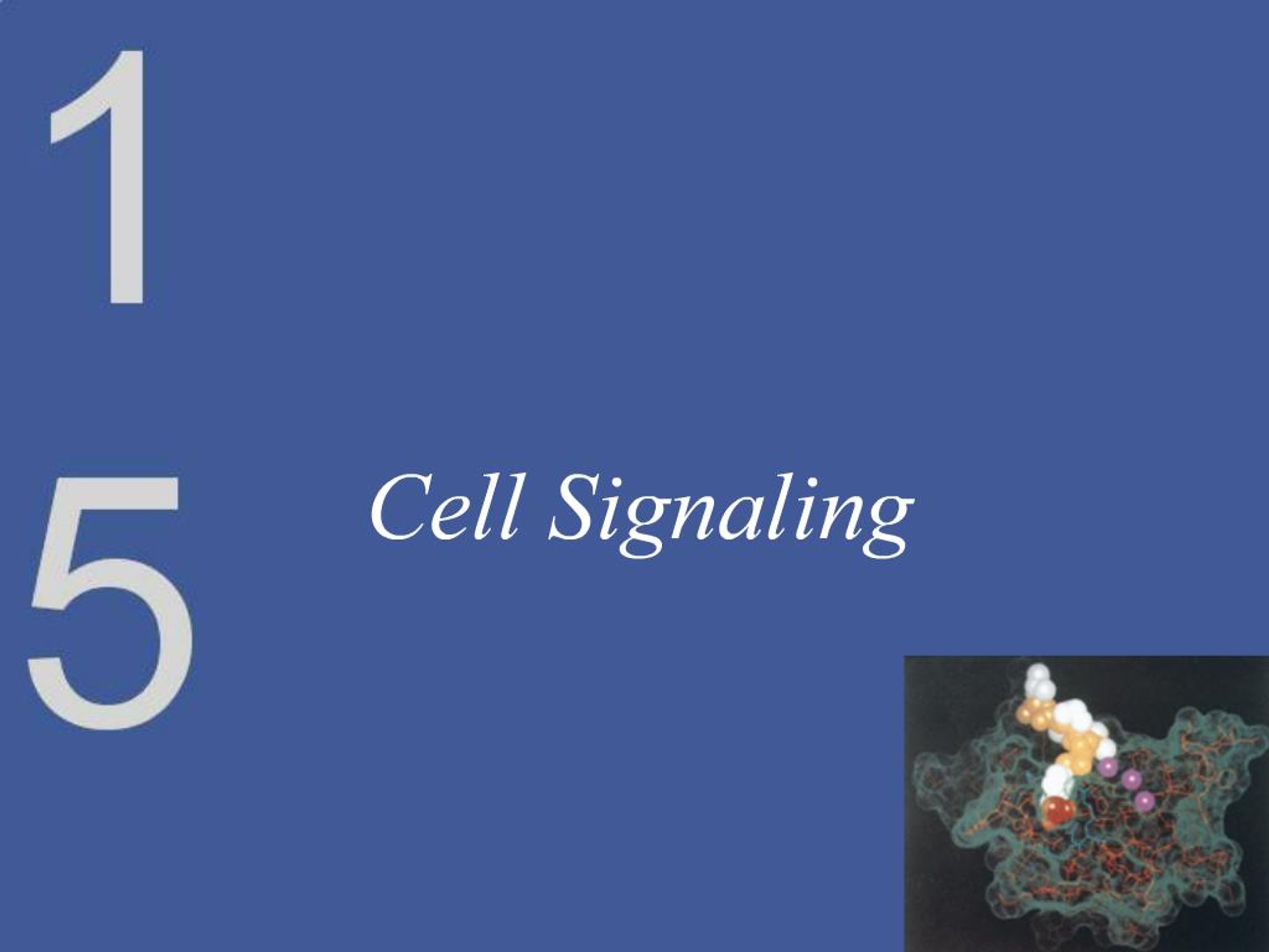 PPT - Cell Signaling PowerPoint Presentation, free download - ID:869553