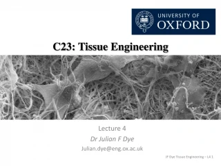 PPT - Tissue Engineering PowerPoint Presentation, free download - ID:782634