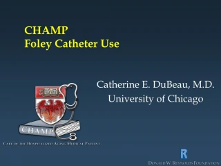 PPT - Foley catheter PowerPoint Presentation, free download - ID:2047161