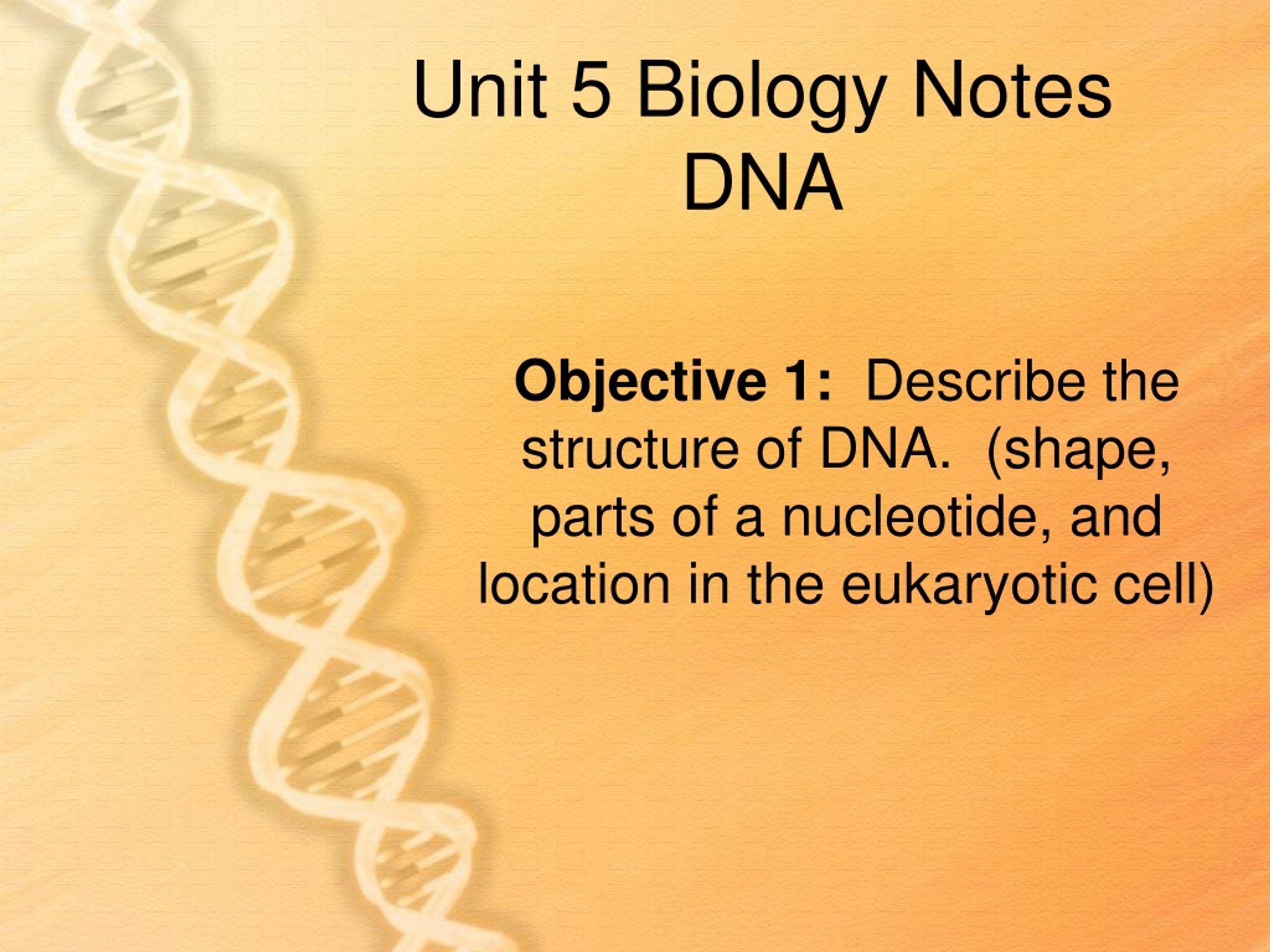 PPT - Unit 5 Biology Notes DNA PowerPoint Presentation, free download ...