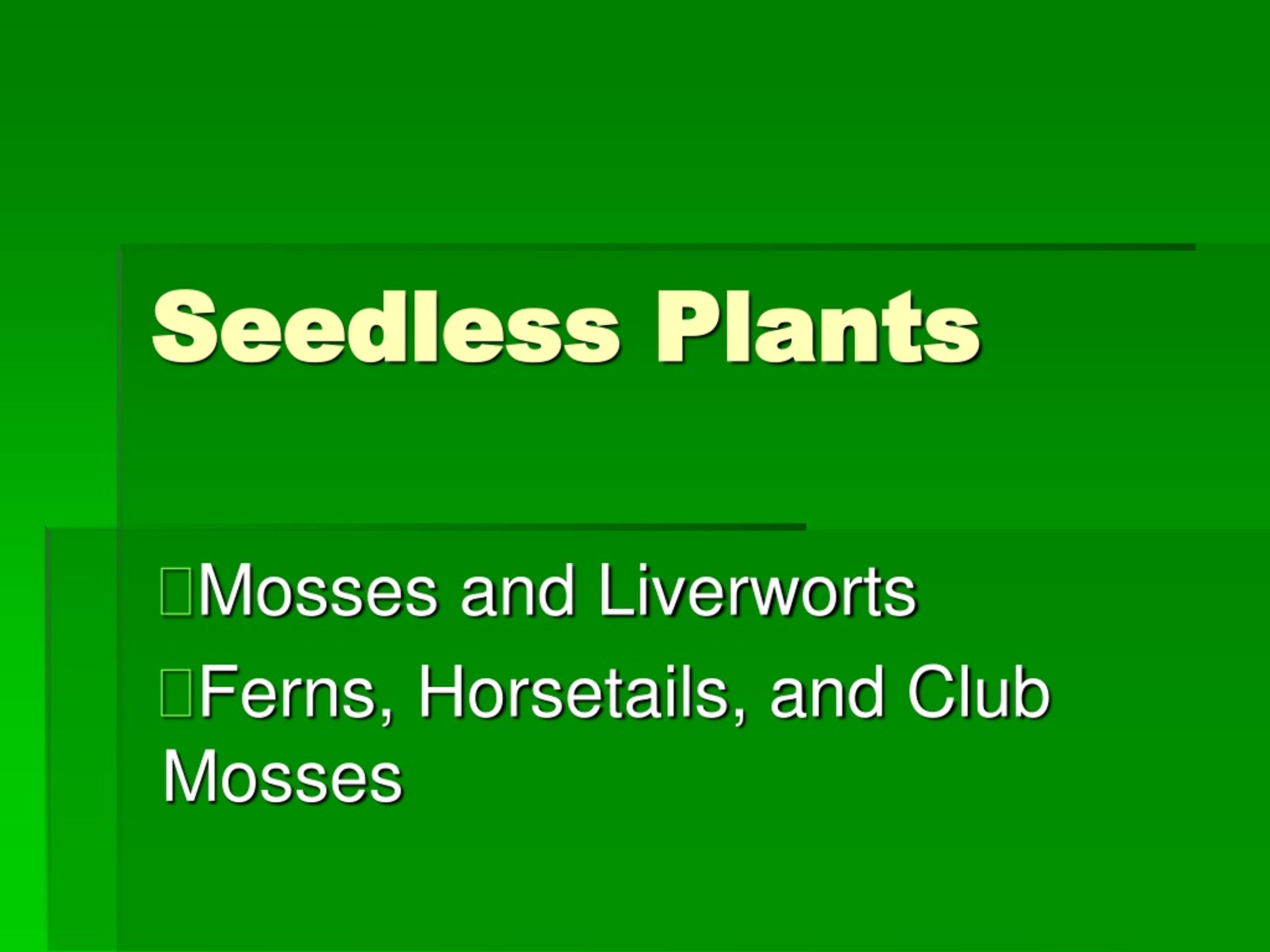 PPT - Seedless Plants PowerPoint Presentation, free download - ID:87768