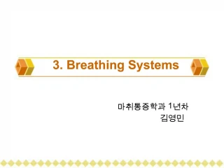 PPT - Anesthesia machine and breathing systems PowerPoint Presentation - ID:594211