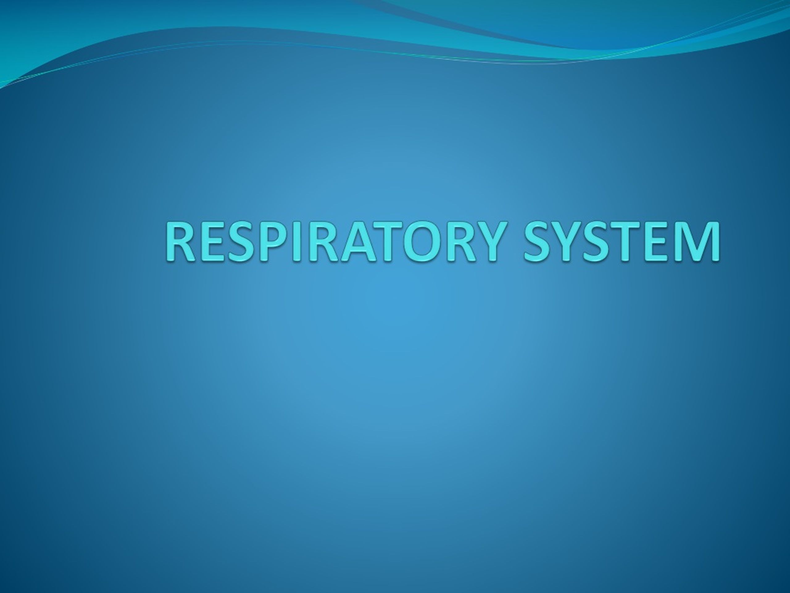 PPT - RESPIRATORY SYSTEM PowerPoint Presentation, free download - ID ...