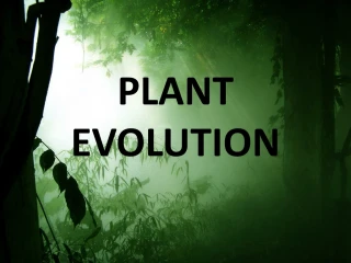 PPT - An overview of Plant Evolution PowerPoint Presentation, free ...
