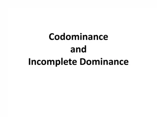 PPT - Codominance PowerPoint Presentation, free download - ID:6104626