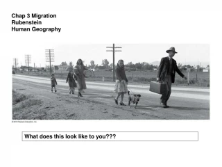 PPT - Human Migration PowerPoint Presentation, free download - ID:2025467