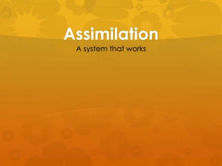 PPT - Assimilation PowerPoint Presentation, free download - ID:6801877