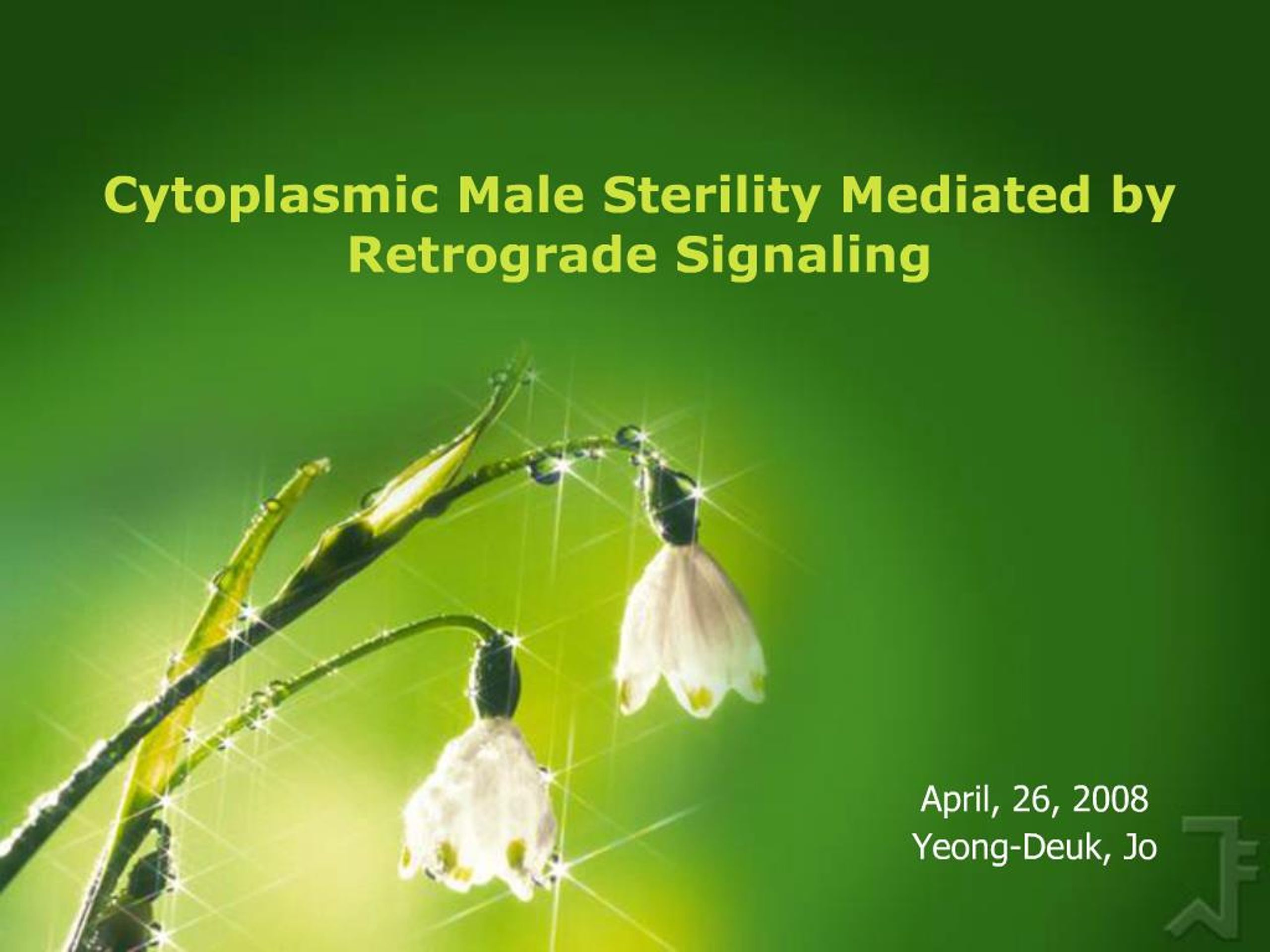 PPT - Cytoplasmic Male Sterility Mediated by Retrograde Signaling ...