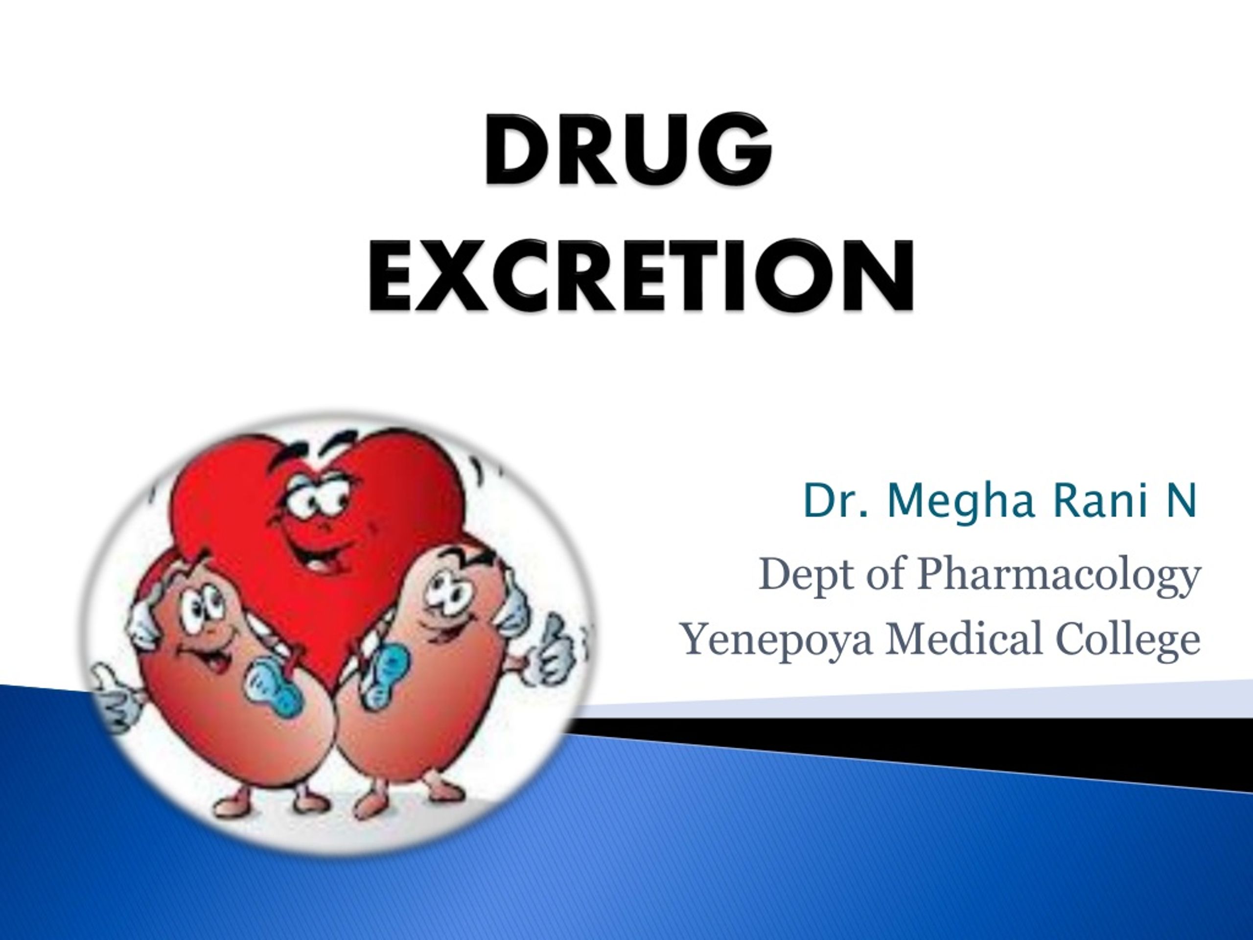 PPT - Drug Excretion Processes and Factors: A Comprehensive Overview ...