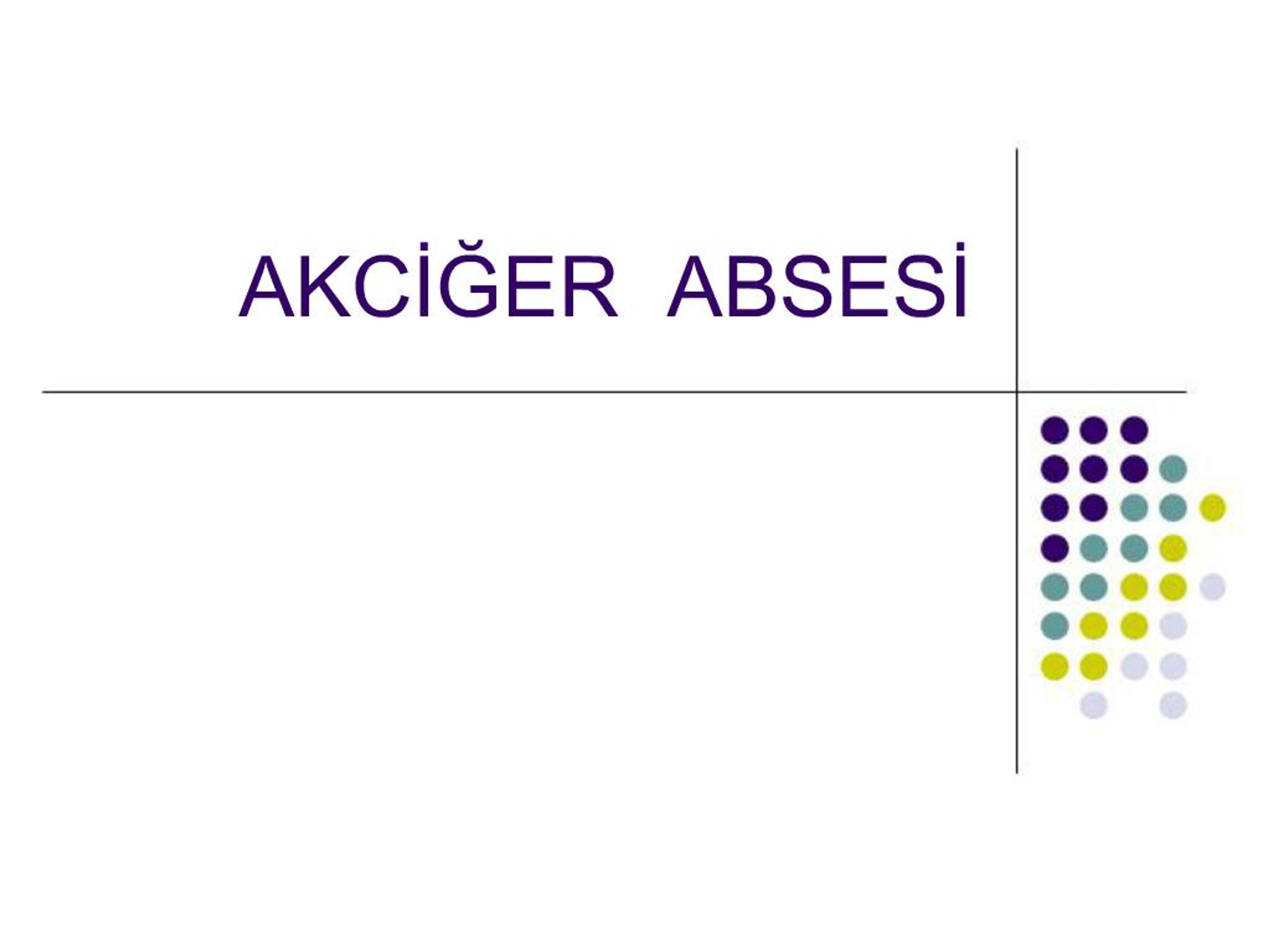 PPT - AKCIGER ABSESI PowerPoint Presentation, free download - ID:896039