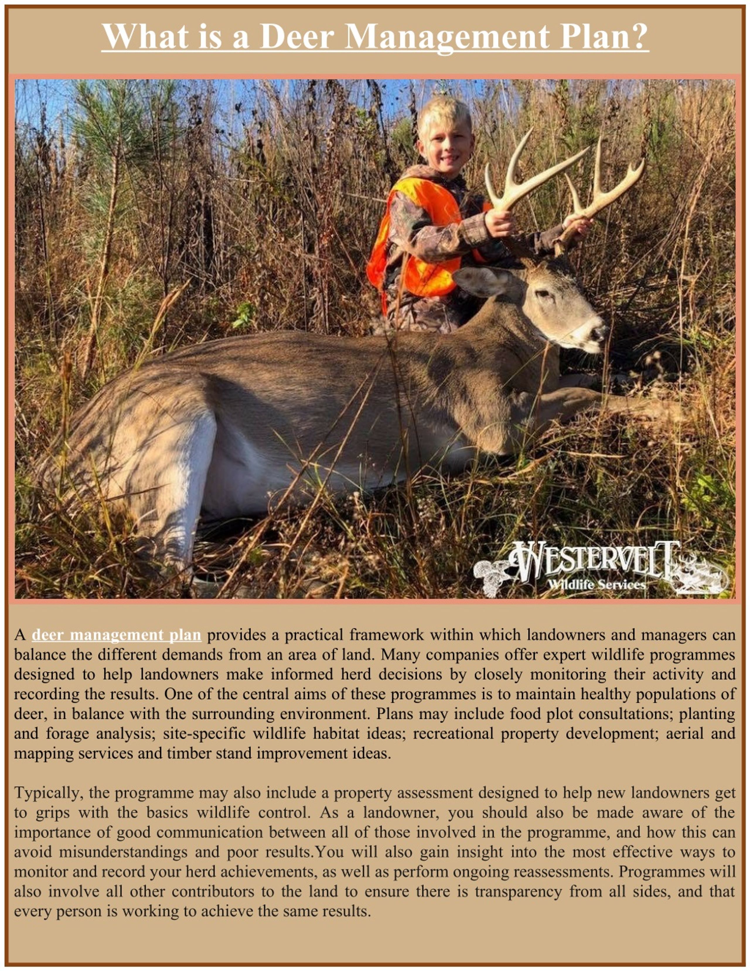 PPT - What is a Deer Management Plan PowerPoint Presentation, free ...