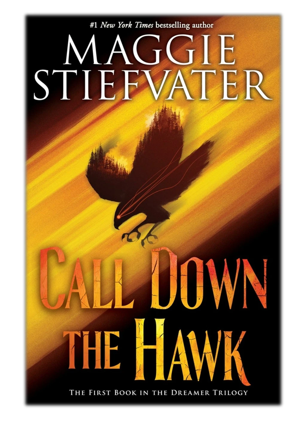 PPT - [PDF] Free Download Call Down the Hawk, (The Dreamer Trilogy, Book 1) By Maggie Stiefvater ...