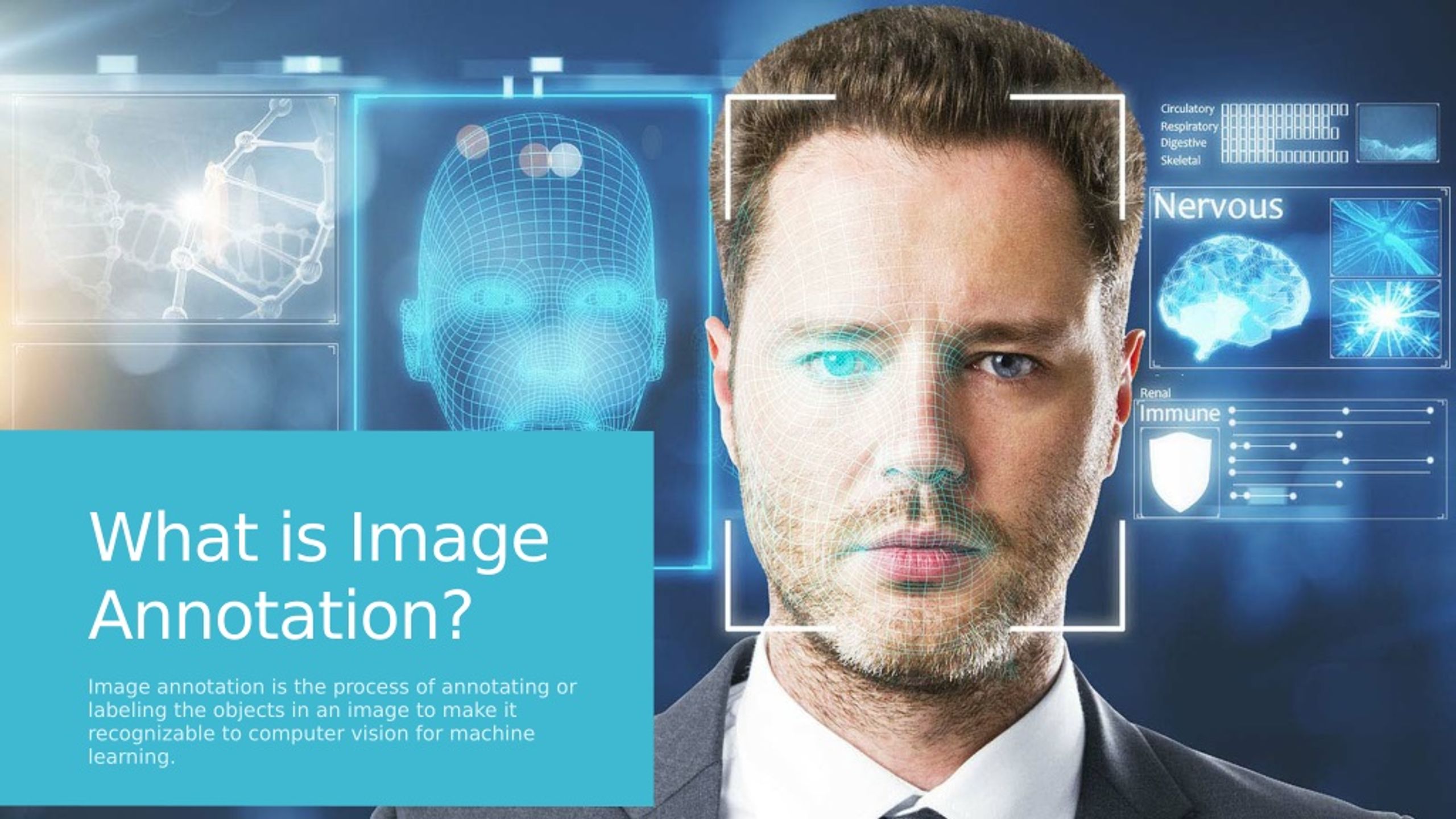 PPT - What is Image Annotation and Types? PowerPoint Presentation, free ...