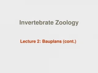 PPT - INVERTEBRATE ZOOLOGY PowerPoint Presentation, free download - ID ...