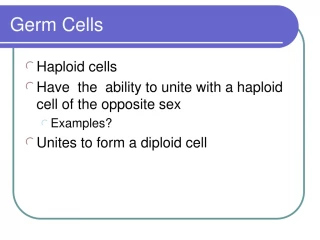 PPT - Derivatives of Germ layers PowerPoint Presentation, free download ...