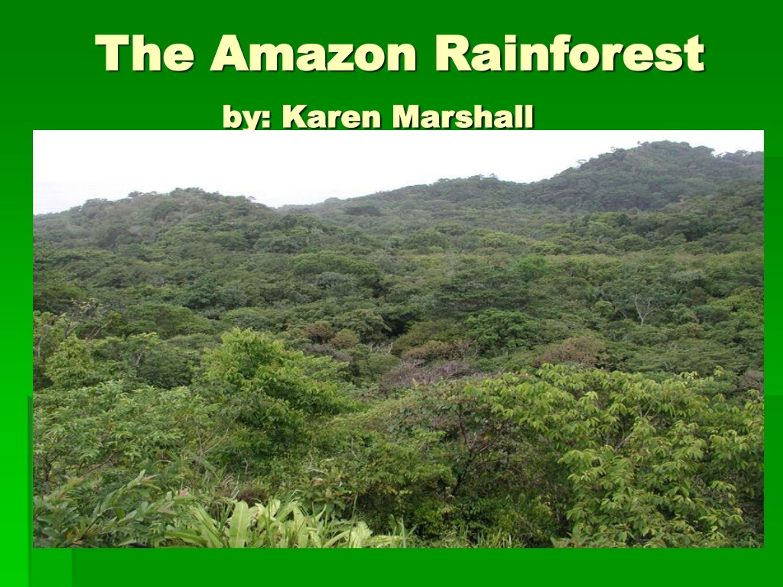 PPT - Explore the Amazon Rainforest: Facts, Animals, and More ...