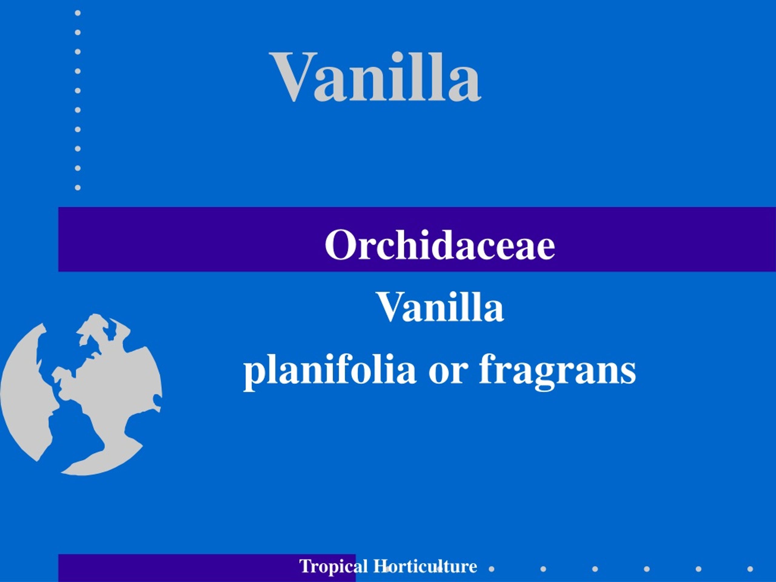 PPT - Vanilla PowerPoint Presentation, free download - ID:9083892