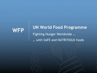 PPT - WFP Logistics, We Deliver PowerPoint Presentation, free download ...