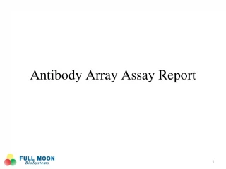 PPT - Antibody Array Assay Report PowerPoint Presentation, free ...