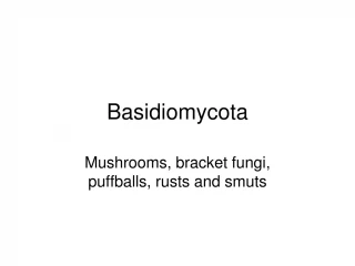 PPT - Basidiomycota PowerPoint Presentation, free download - ID:9374505