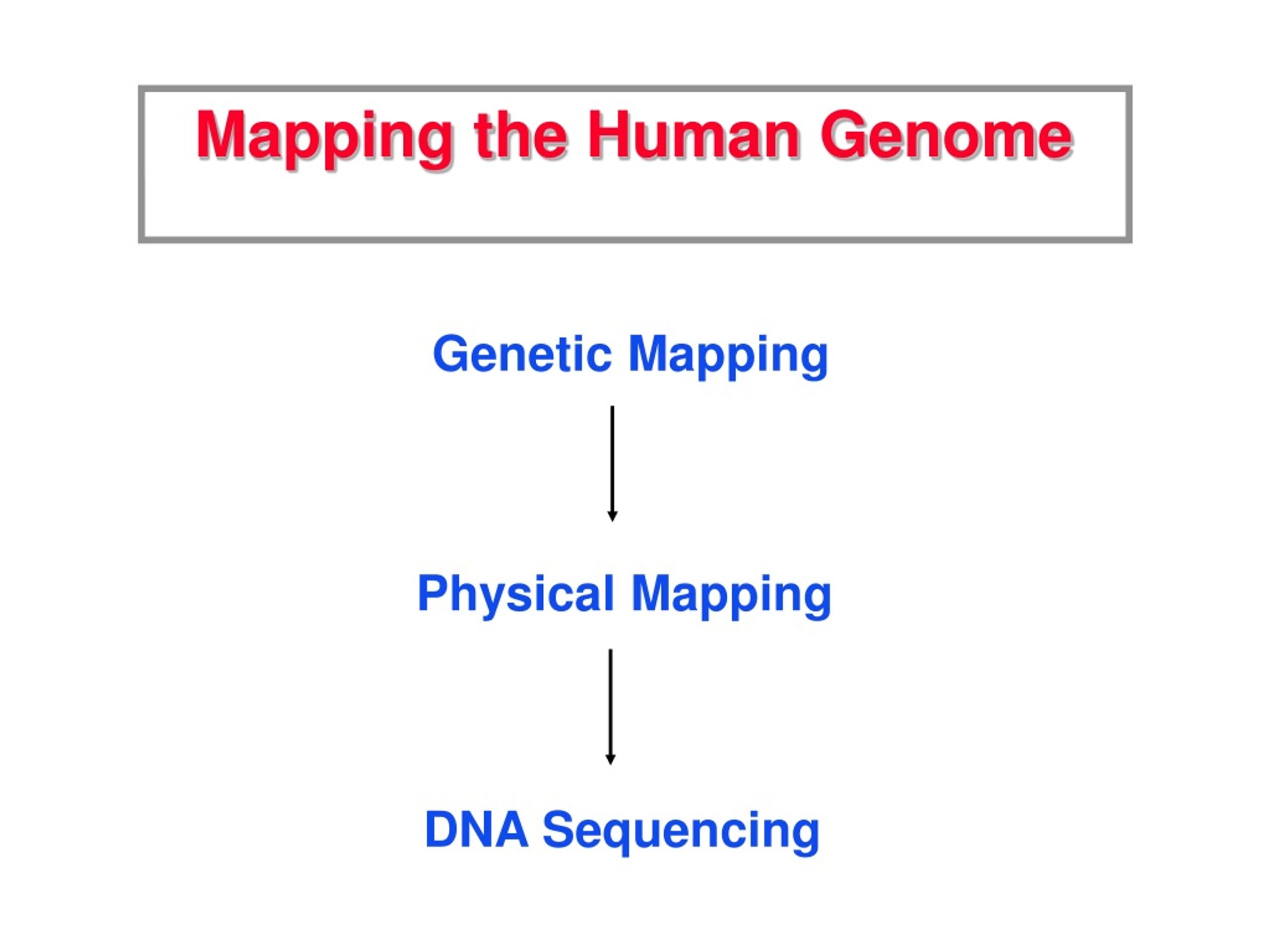 PPT - Mapping the Human Genome PowerPoint Presentation, free download ...