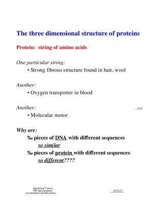 PPT - Three-Dimensional Structure of Proteins PowerPoint Presentation ...