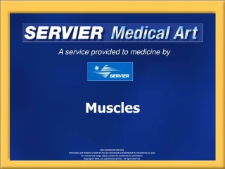 PPT - Muscles types PowerPoint Presentation, free download - ID:2167205