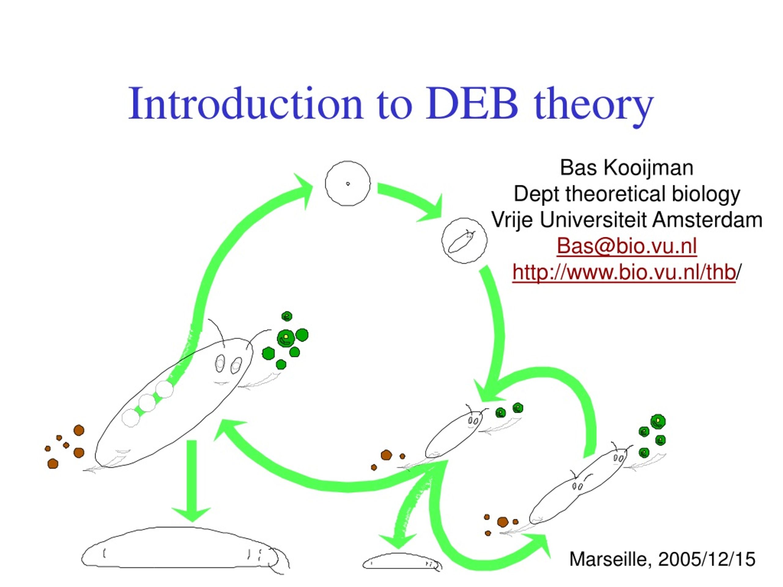 PPT - Introduction to DEB theory PowerPoint Presentation, free download ...