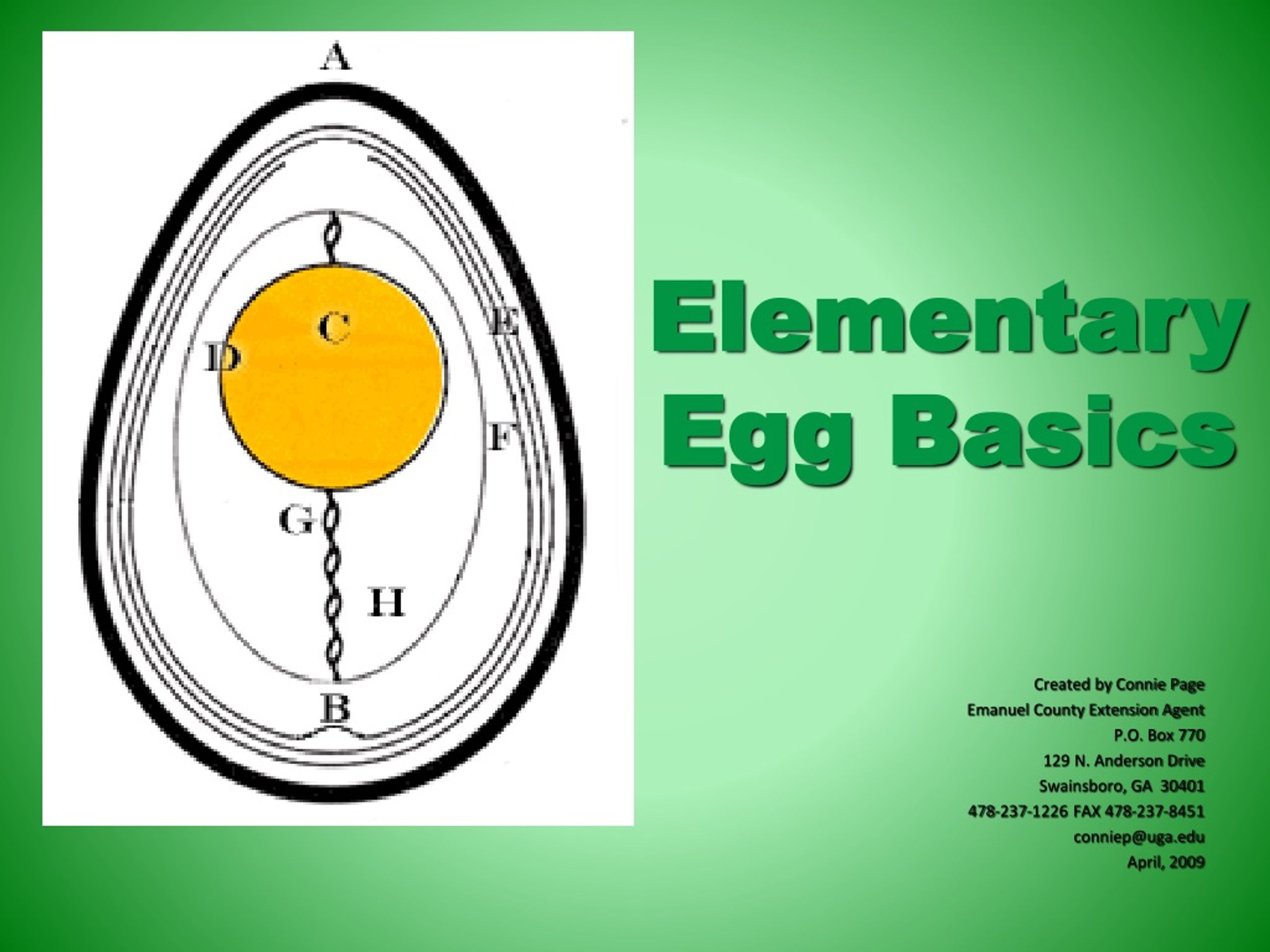 PPT - Elementary Egg Basics PowerPoint Presentation, free download - ID ...