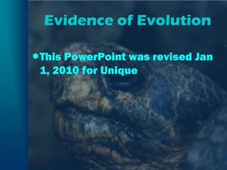 PPT - Evidence of Evolution PowerPoint Presentation, free download - ID ...
