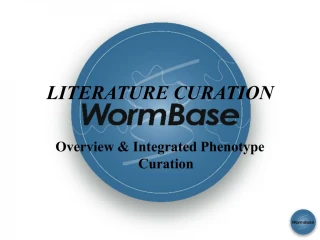 PPT - Fossil Collection and Curation PowerPoint Presentation, free ...