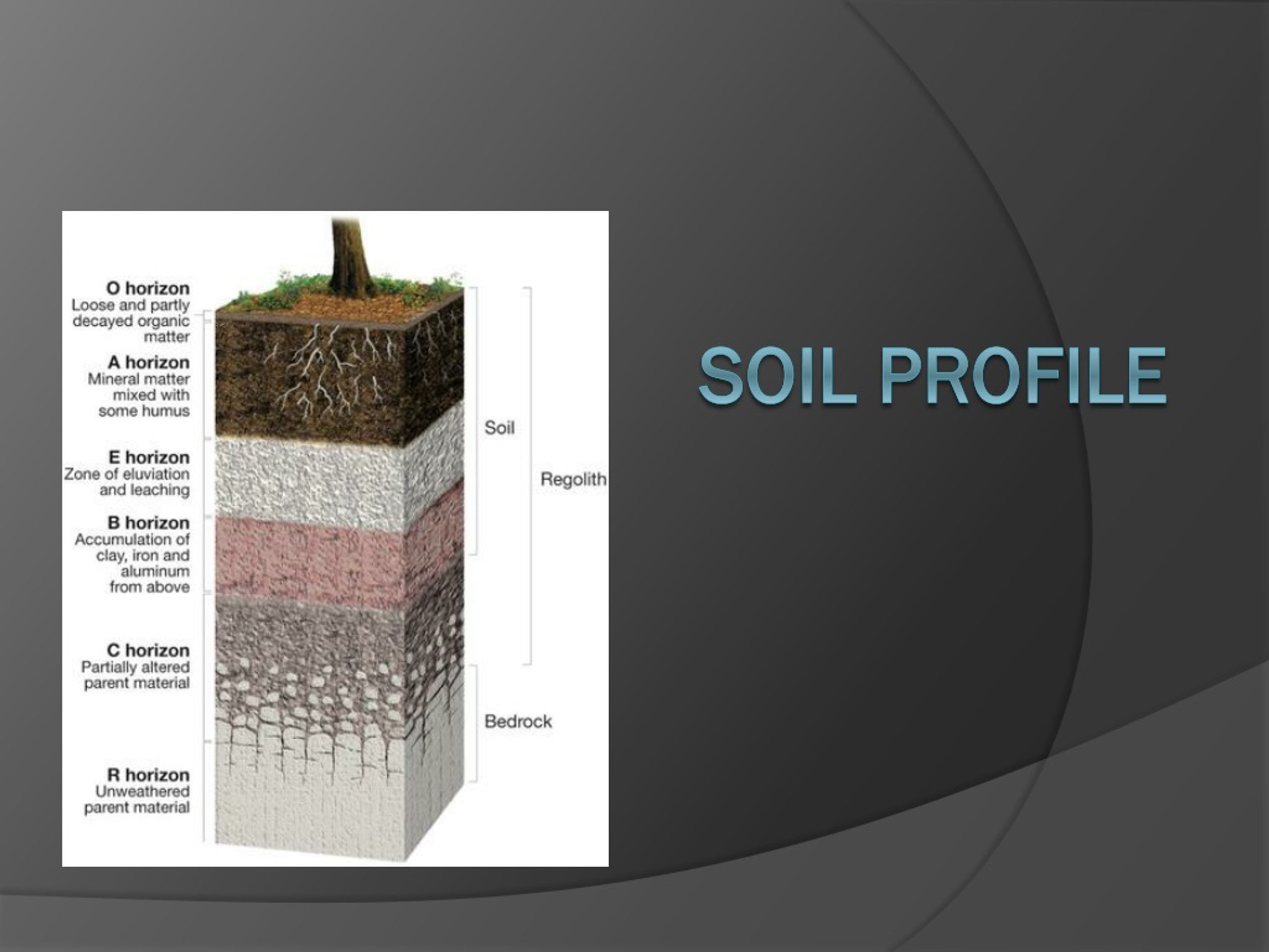 PPT - Soil Profile PowerPoint Presentation, free download - ID:9140453