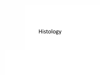 PPT - Histology of Blood PowerPoint Presentation, free download - ID ...