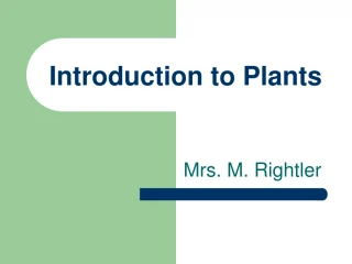 PPT - Introduction to plants PowerPoint Presentation, free download ...