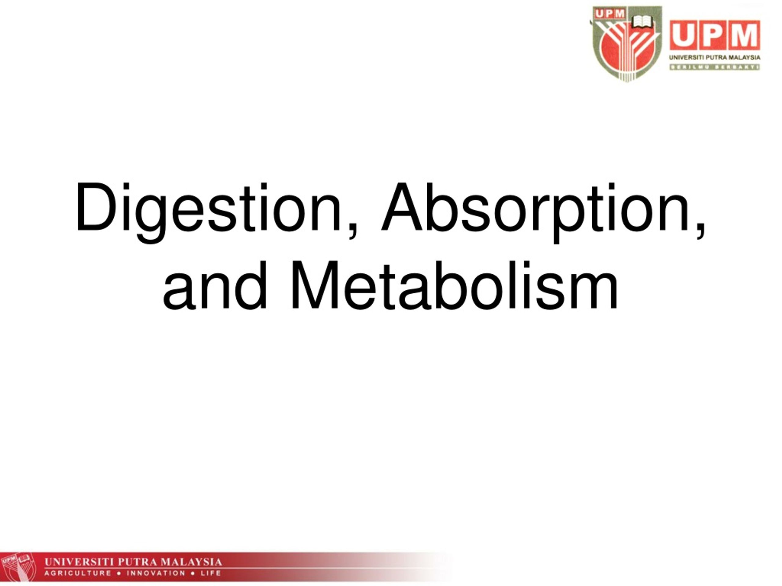 PPT - Digestion: Processes and Importance PowerPoint Presentation, free ...