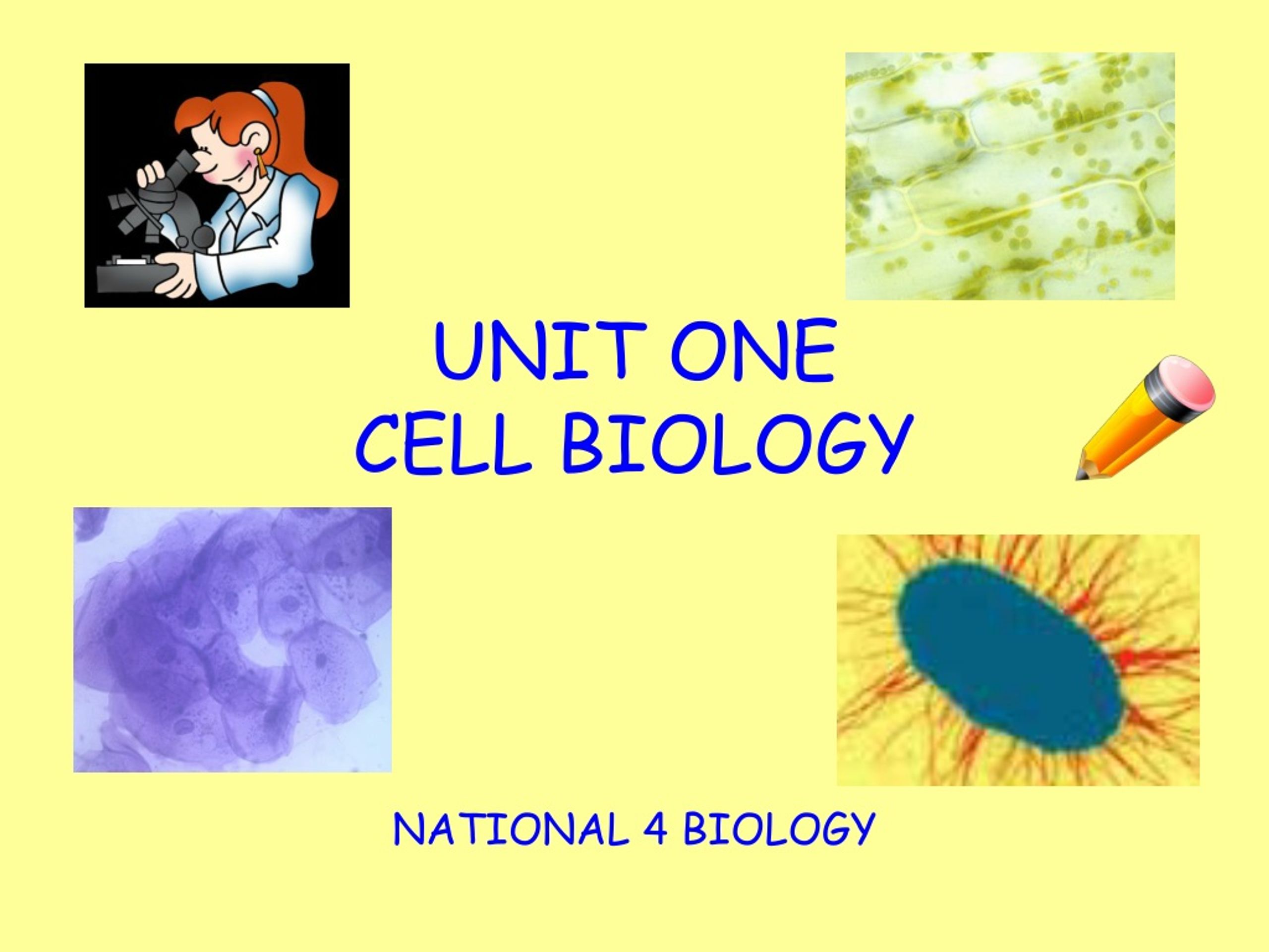 PPT - Introduction to Cell Biology: Microscope Basics and Cell ...