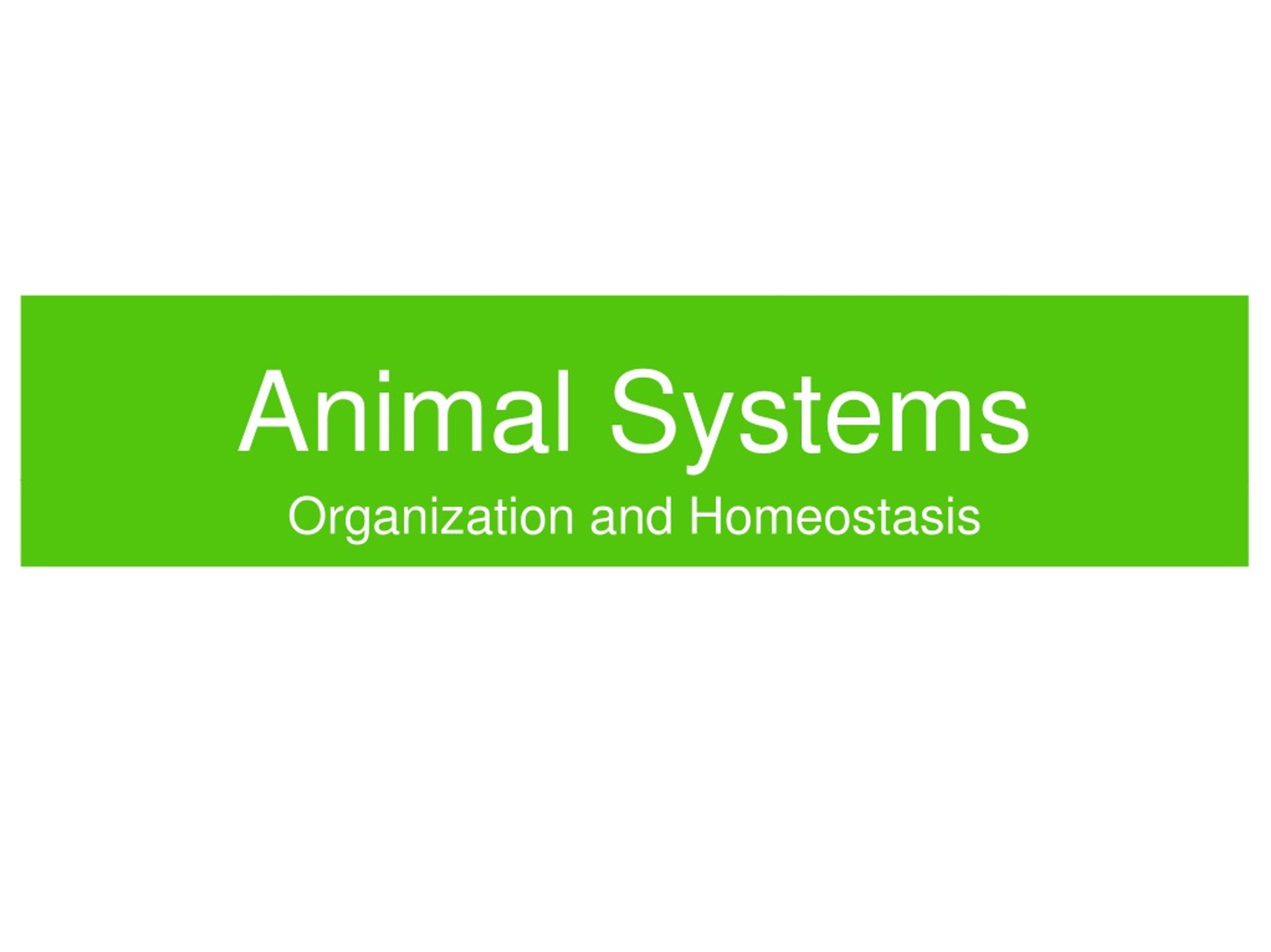 PPT - Animal Systems PowerPoint Presentation, free download - ID:9180711