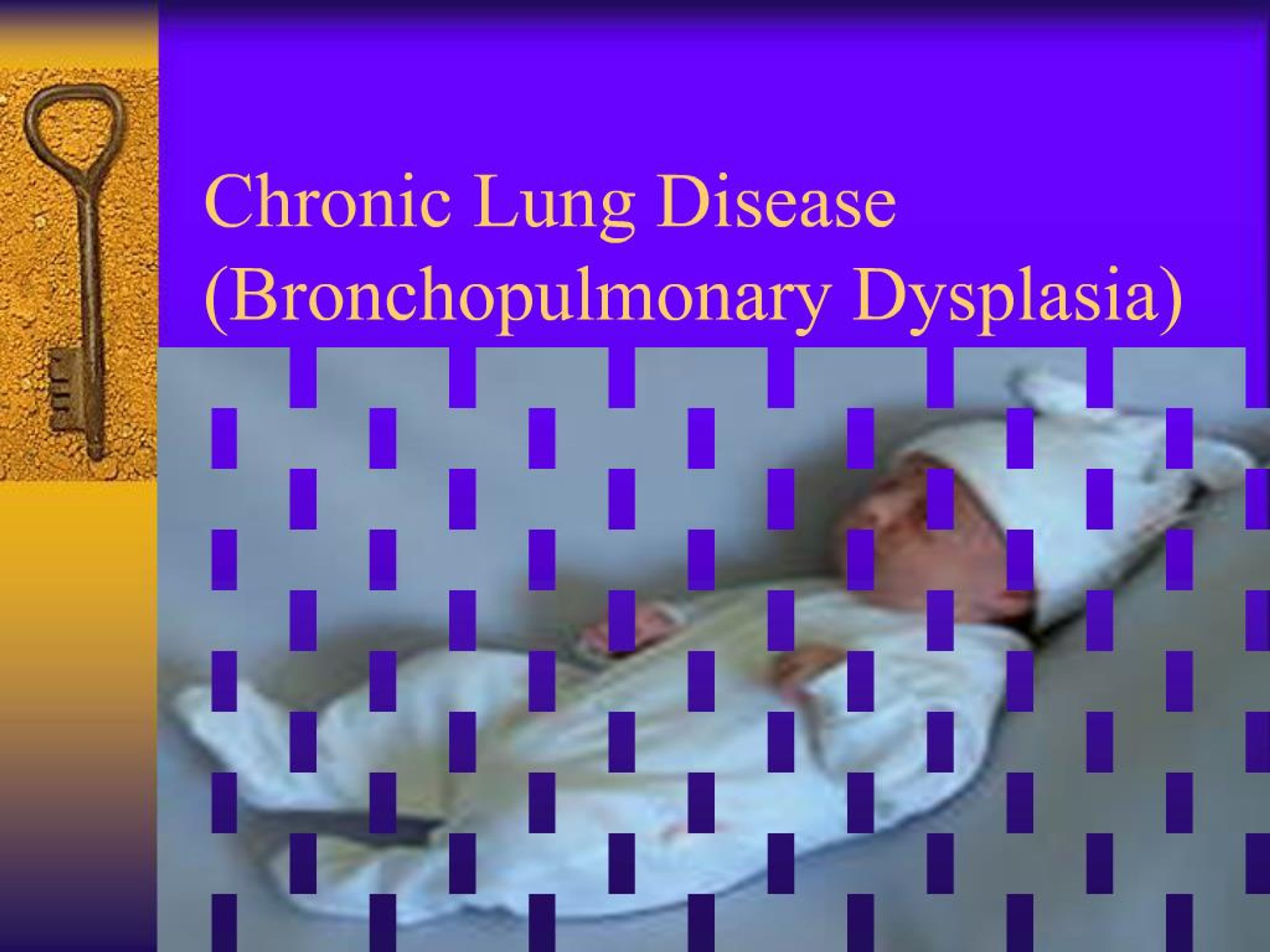 PPT - Chronic Lung Disease Bronchopulmonary Dysplasia PowerPoint ...
