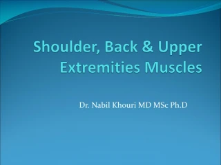 PPT - Positioning Review of Upper and Lower Extremities PowerPoint ...