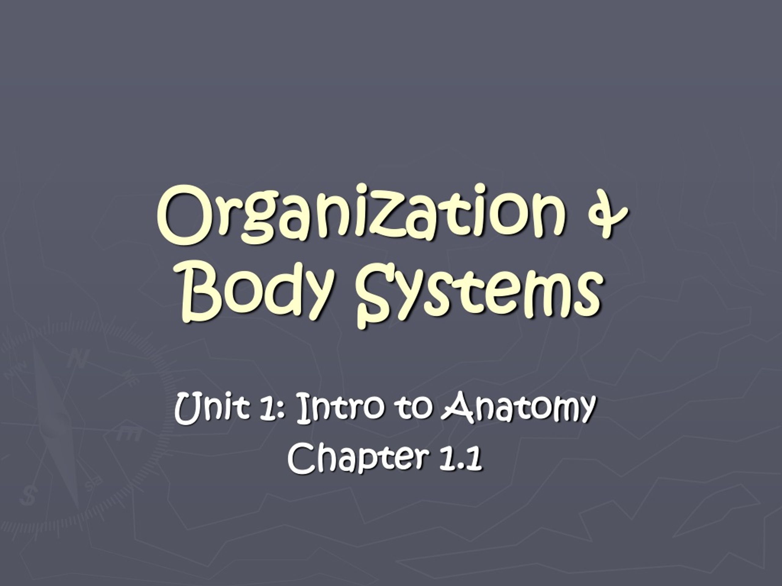 PPT - Organization & Body Systems PowerPoint Presentation, free ...