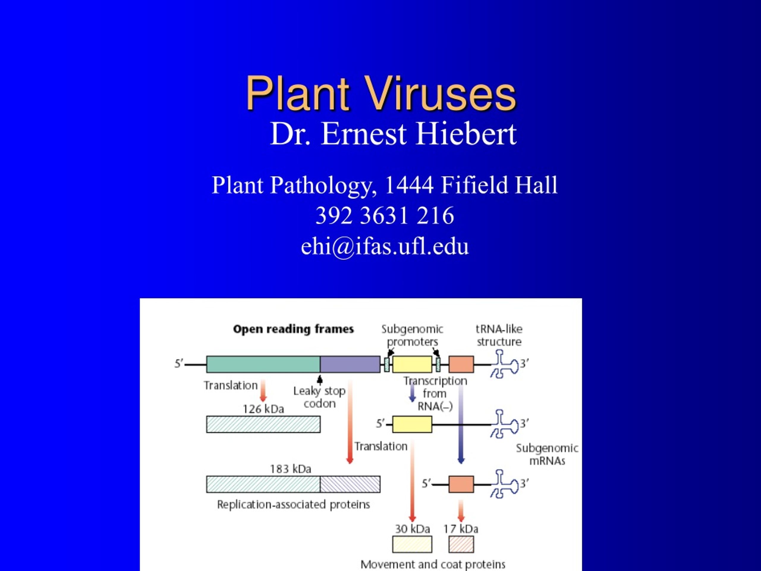 PPT - Plant Viruses: Structure, Replication, and Control Strategies ...