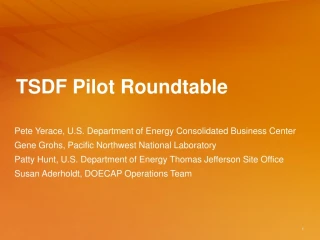 PPT - TSDF Pilot Checklist Program Alternative Audit Approach ...