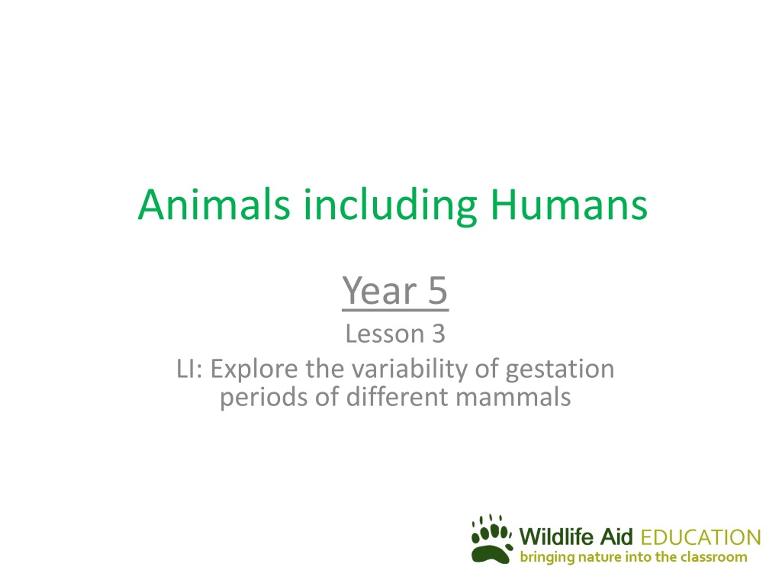 PPT - Animals including Humans PowerPoint Presentation, free download ...