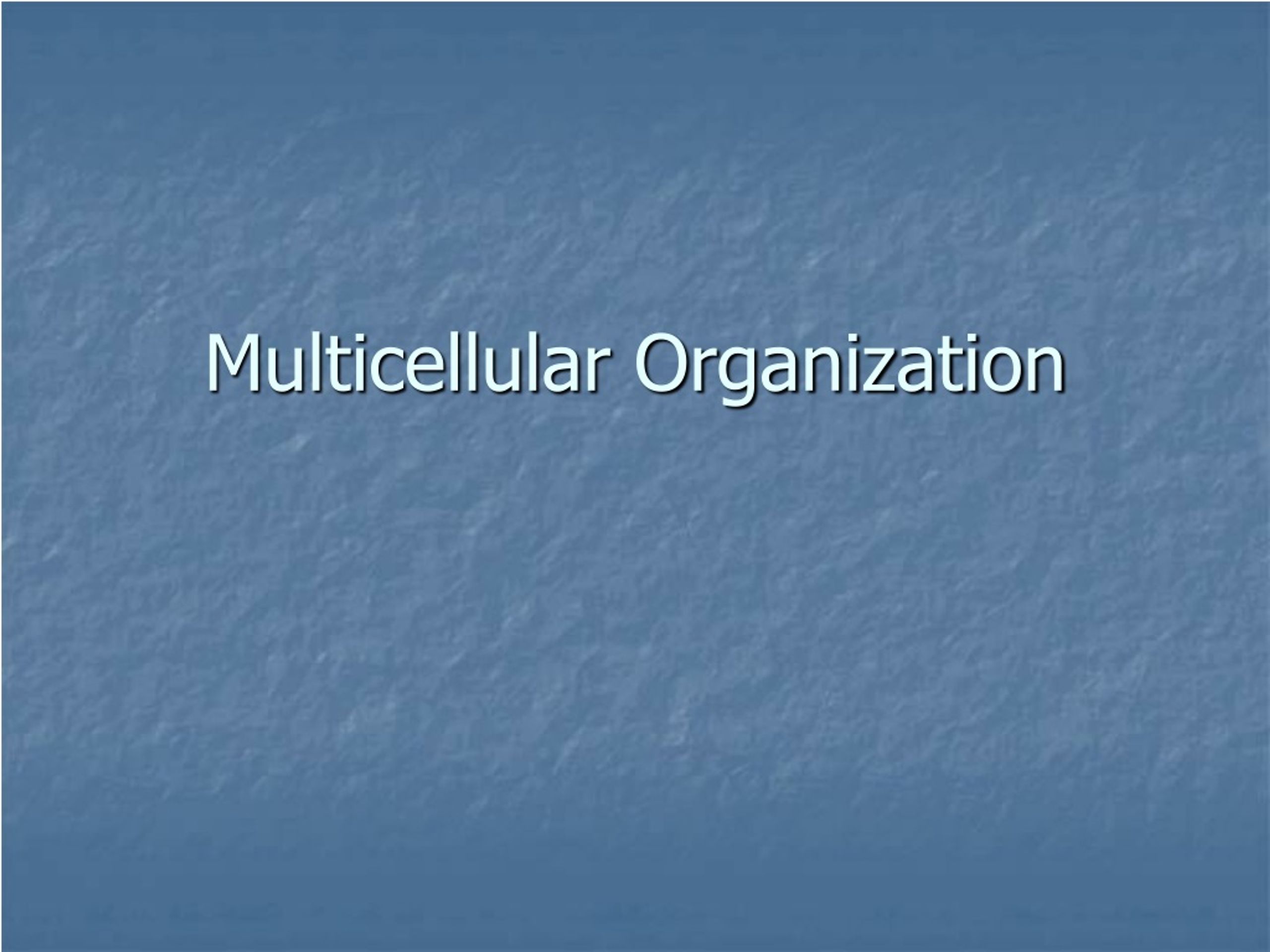 PPT - Multicellular Organization: Tissues, Organs, & Systems in Biology ...