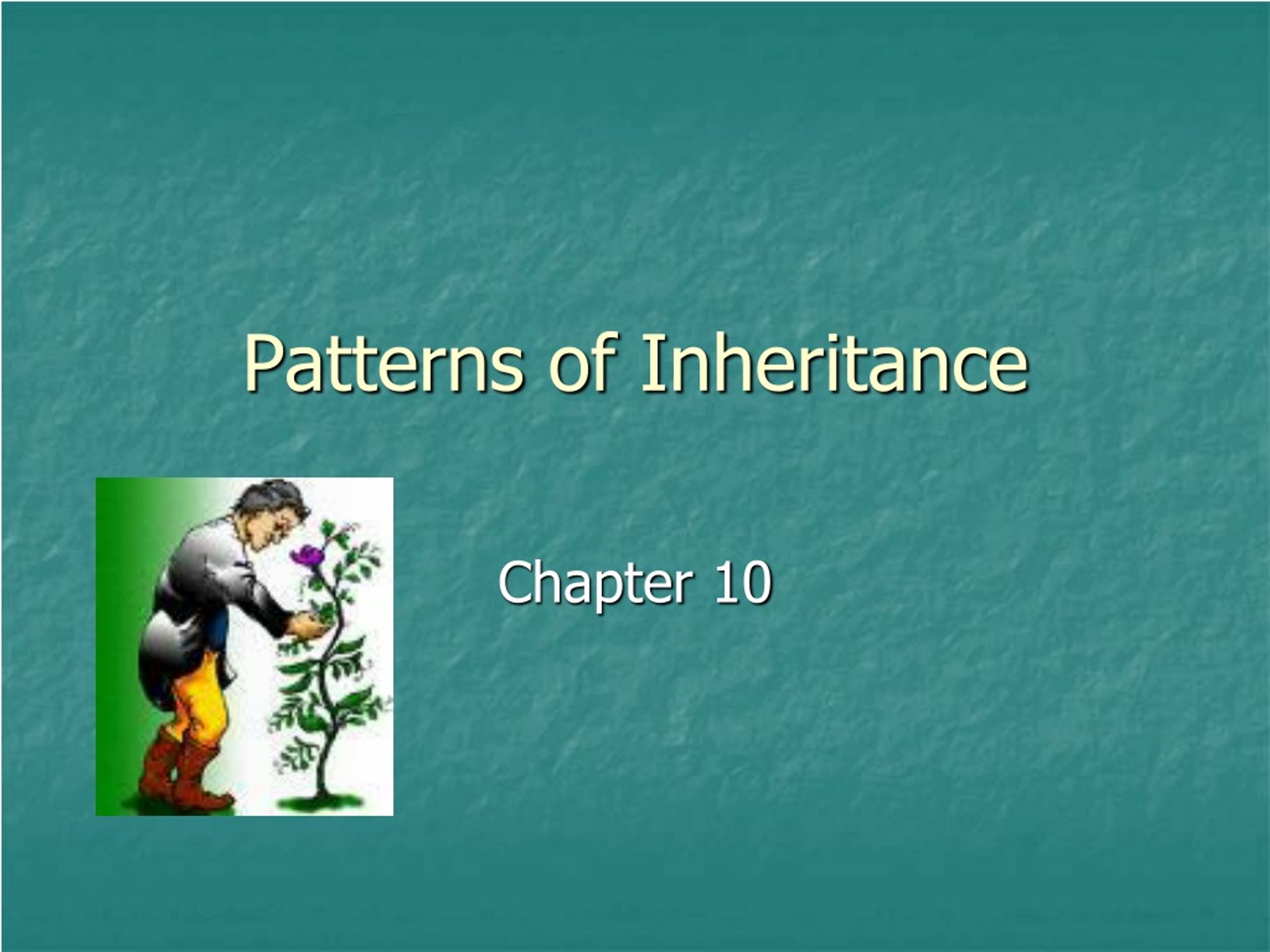 PPT - Patterns of Inheritance PowerPoint Presentation, free download ...