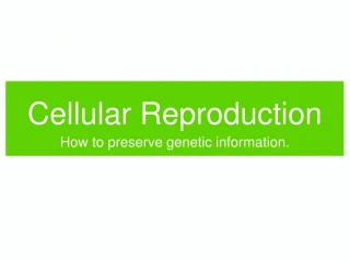 PPT - Cellular Reproduction PowerPoint Presentation, free download - ID:1457909