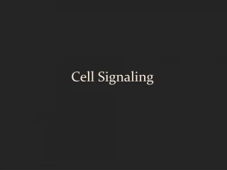 PPT - Cell Signaling PowerPoint Presentation, free download - ID:1404238
