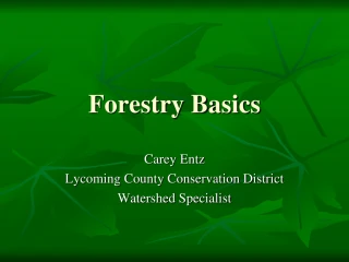 PPT - Forestry Basics PowerPoint Presentation, free download - ID:5617218