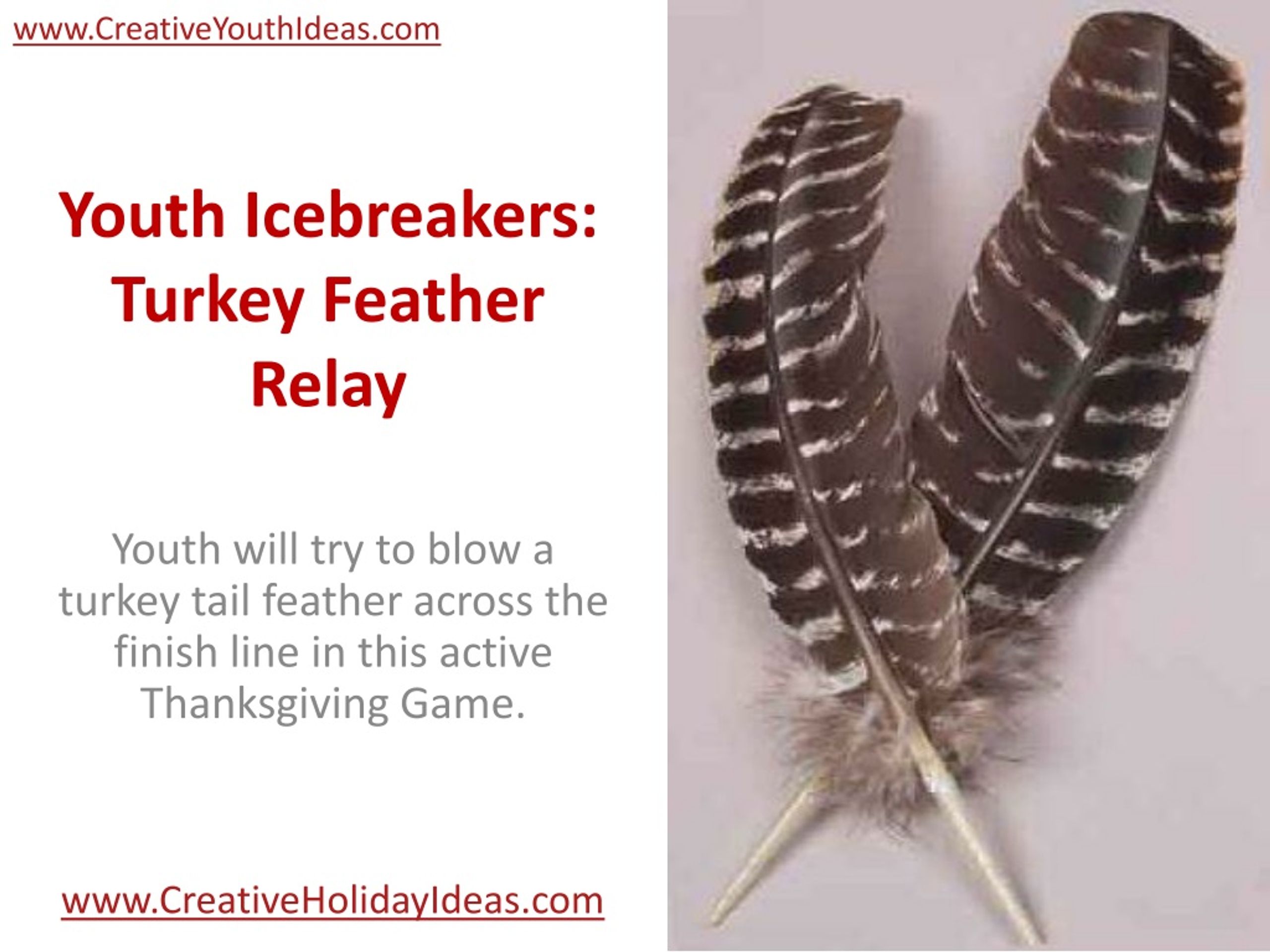 PPT - Youth Icebreakers: Turkey Feather Relay PowerPoint Presentation ...