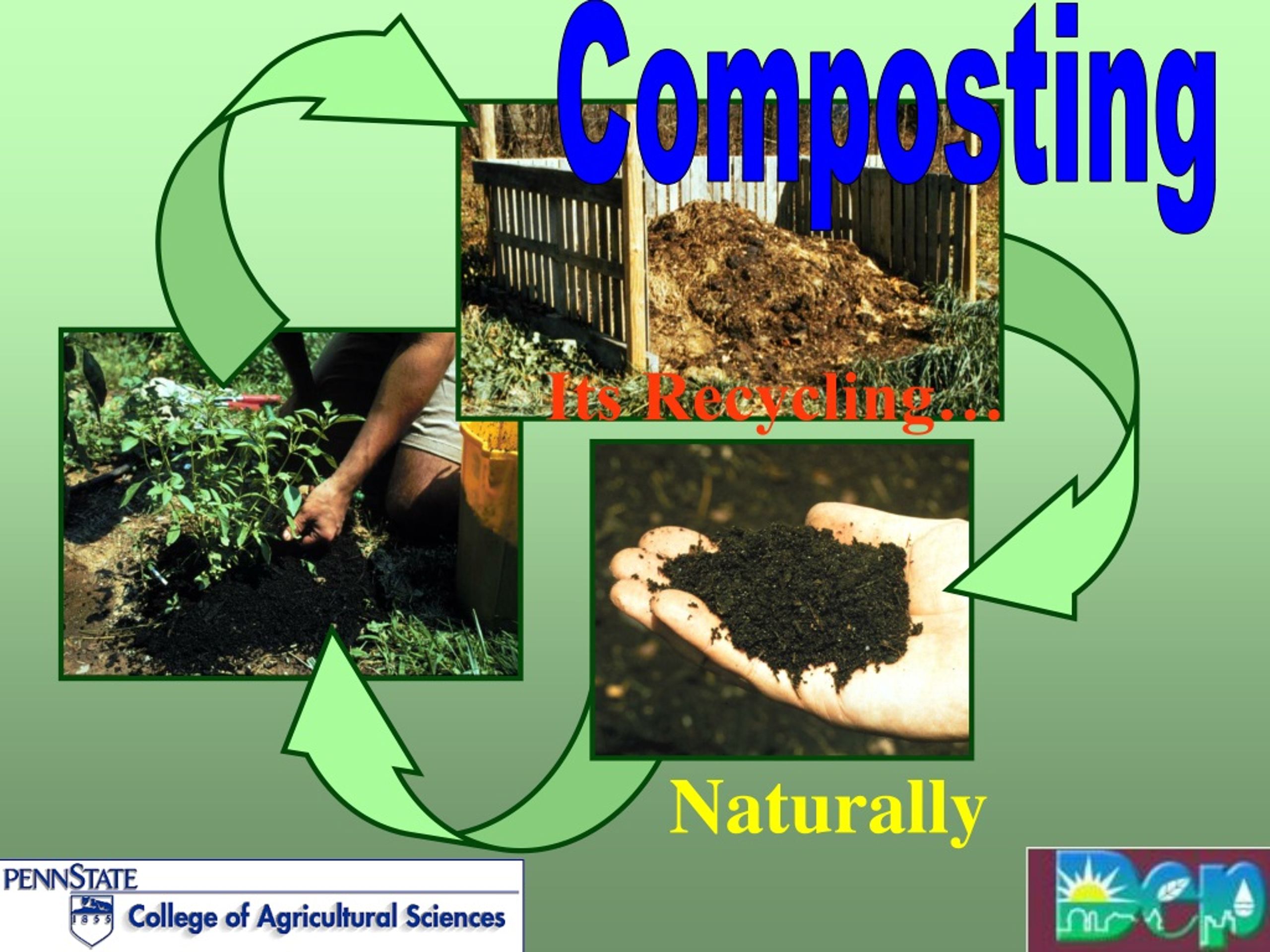 PPT - Mastering Composting: Essential Guide for Successful Home ...